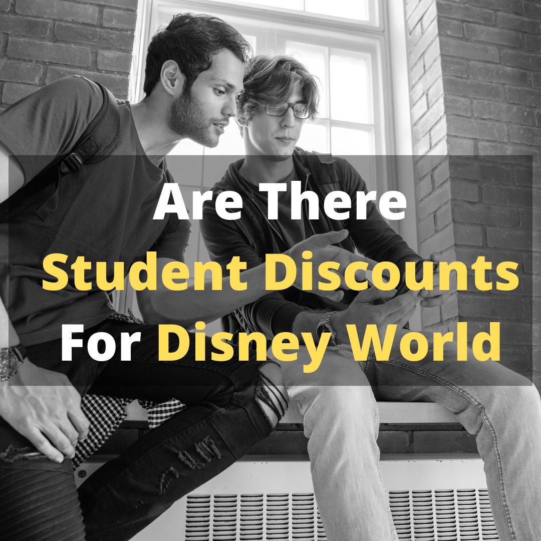 Are There Any Student Discounts For Disney World? | Explained ...
