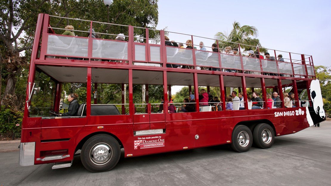 San Diego Zoo Bus Tour | The Ultimate Guide + Tour Video ...