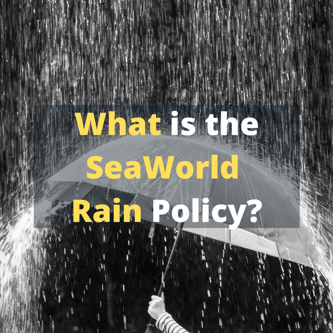 What is the SeaWorld Rain Policy? | Easily Explained – ThemeParkCenter.com