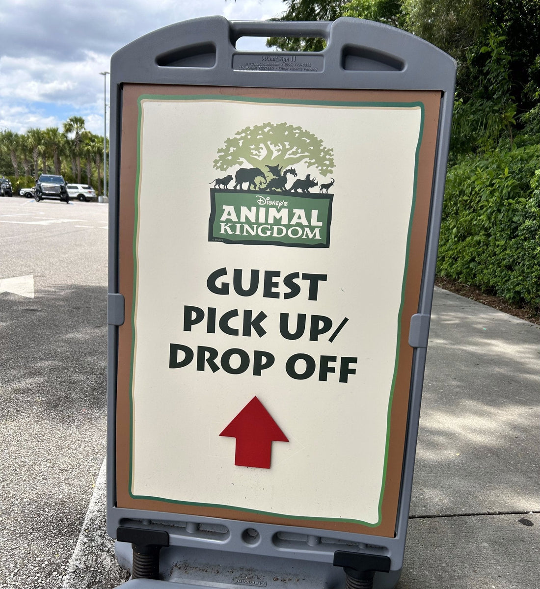 Guest Pick Up & Drop Off at Animal Kingdom: All You Need to Know ...