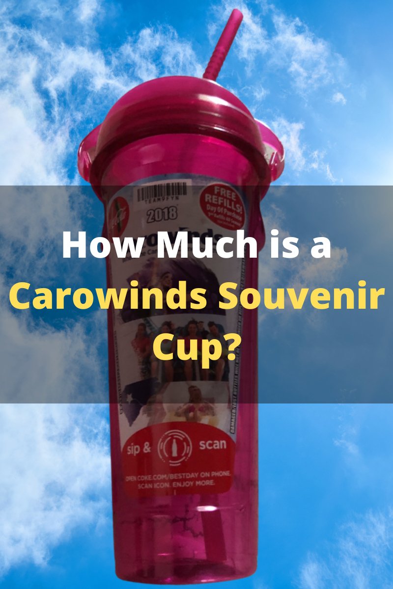 How Much is a Carowinds Souvenir Cup? | Explained – ThemeParkCenter.com
