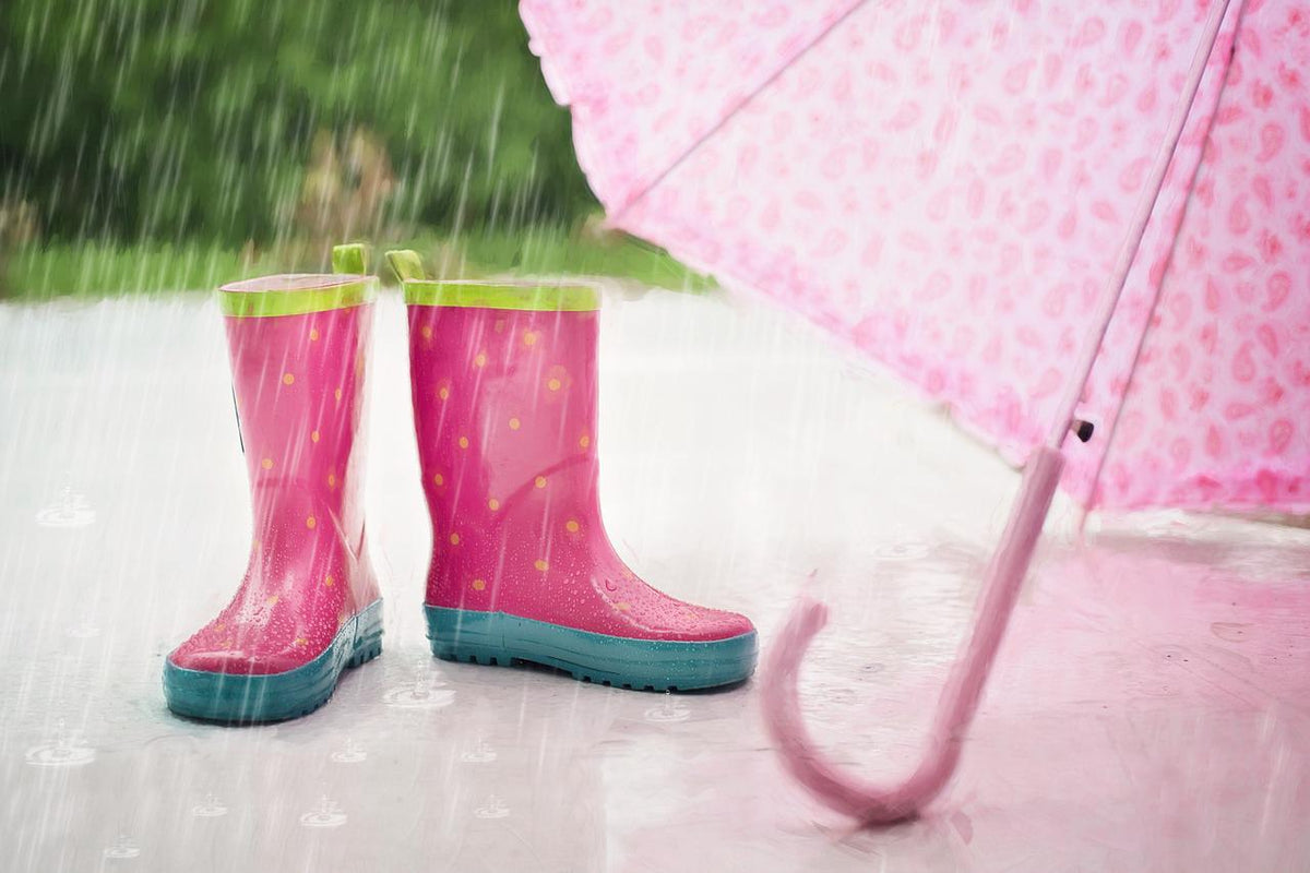 What is the Sesame Place Rain Policy? | Explained – ThemeParkCenter.com