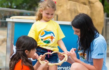 SeaWorld Camp in San Antonio: All You Need to Know – ThemeParkCenter.com